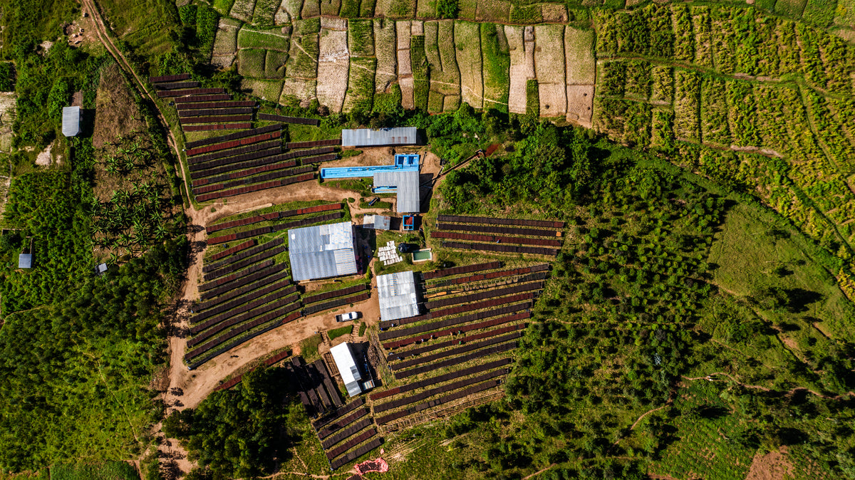 Spro Jackson - Espresso (SO) – The Artery Community Roasters