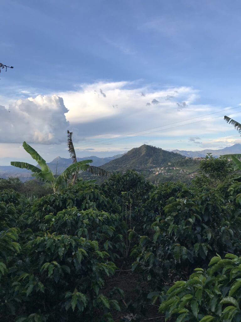 Artery x tin. Vol. 1 (Frank Torres) – The Artery Community Roasters